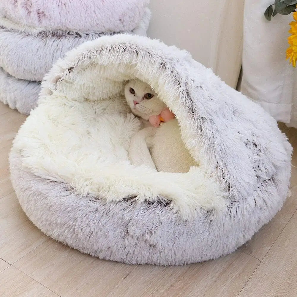 Dog and cat beds store
