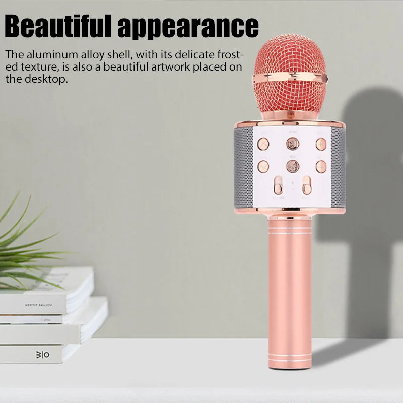 Wireless Karaoke Microphone Bluetooth Studio Noise Cancelling Micro Te ...
